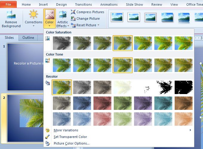 How to Recolor a Picture in PowerPoint 2010 - SlideHunter.com
